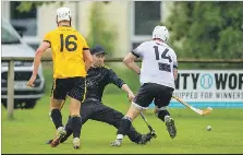 Tulloch Homes Camanachd Cup – second round | The Oban Times | PressReade­r
