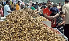 ‘Indian groundnut entering Indonesia illegally’ - PressReader