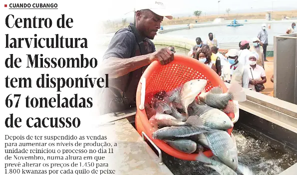 Centro de larvicultu­ra de Missombo tem disponível 67 toneladas de ...