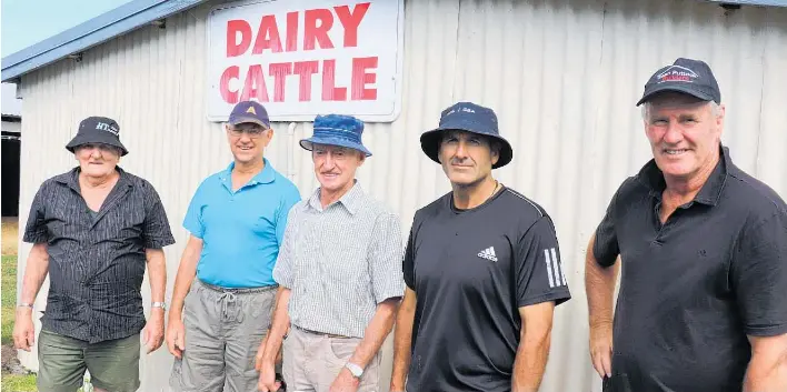 Top dairy cows chase show glory - PressReader