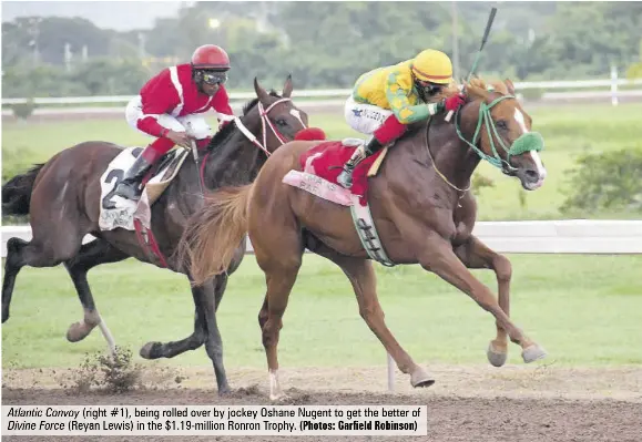 Race Day Analysis – Saturday, September 30, 2023 - PressReader