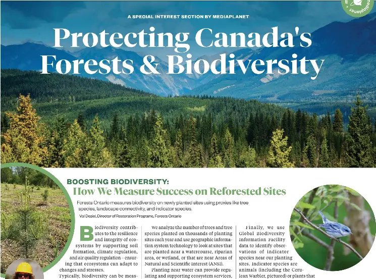 Protecting Canada's Forests & Biodiversi­ty - PressReader