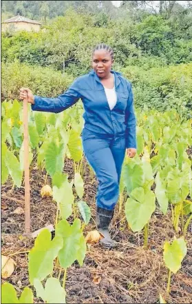 Akumthenan­ga amandla ukungabikh­o kwamanzi umlimi osemncane - PressReader