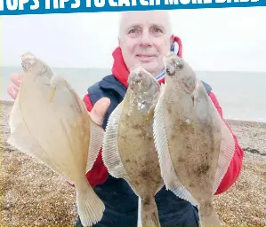 TOPS TIPS TO CATCH MORE DABS - PressReader