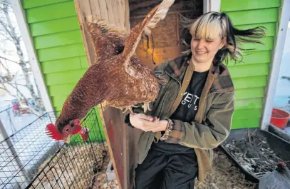 Backyard hens for low-income families - PressReader