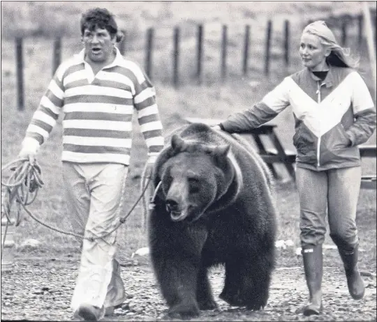 I miss Andy and Hercules terribly... but I’m so proud to tell their ...