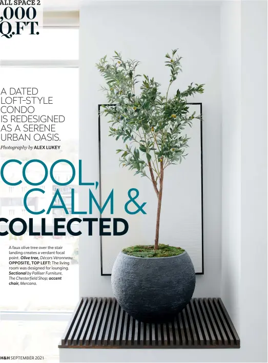 COOL, CALM & COLLECTED - PressReader