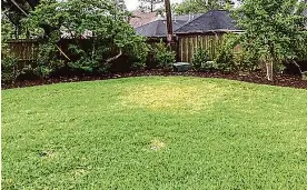 Rare bloom a stinker; canker attacks cypresses - PressReader