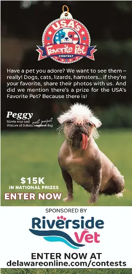 Why did House release Gaetz report? - PressReader