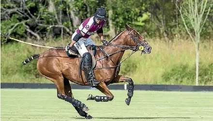 Urban polo returns to Remuera - PressReader