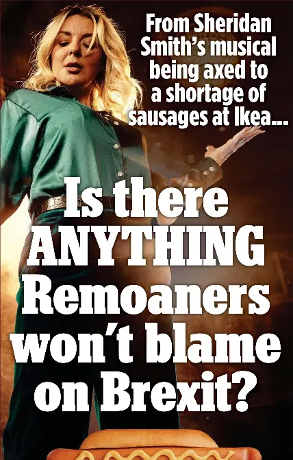 Is there ANYTHING Remoaners won’t blame on Brexit? - PressReader