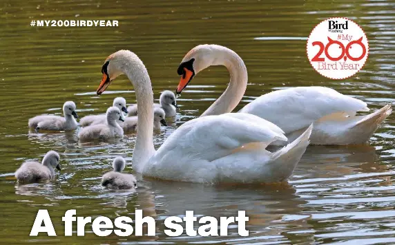 A fresh start - PressReader