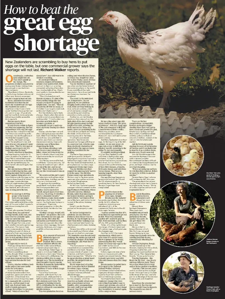 How to beat the great egg shortage - PressReader