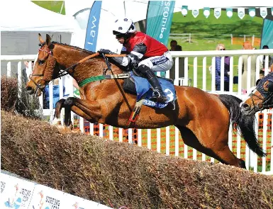 Hearty success - PressReader