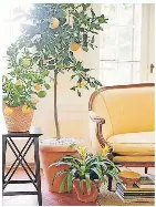 ASK DIARMUID - PressReader