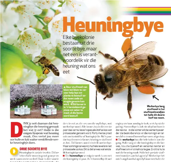 PressReader - Huisgenoot: 2017-05-11 - Heu­ning­bye ver­rig ’n be­lang ...
