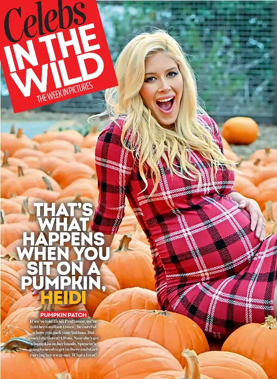 THAT’S WHAT HAPPENS WHEN YOU SIT ON A PUMPKIN, HEIDI - PressReader