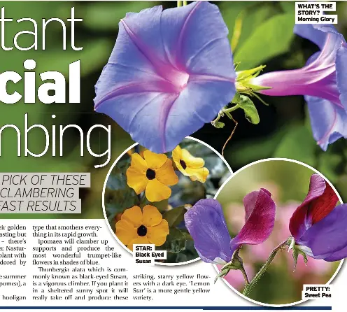 Instant social climbing - PressReader