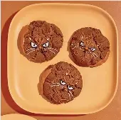 GINGER SNAP CATS - PressReader
