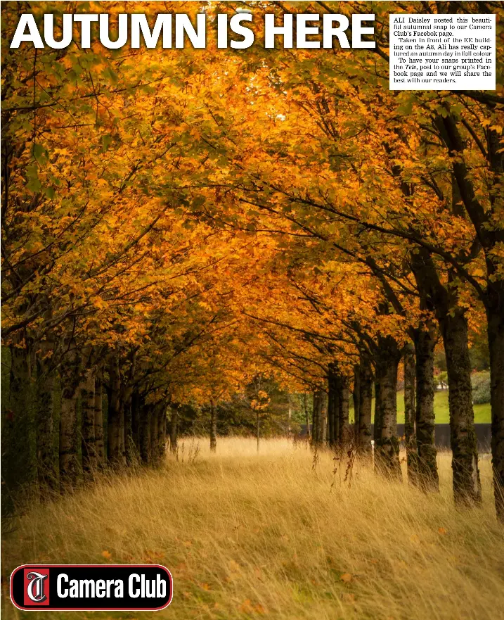 AUTUMN IS HERE - PressReader