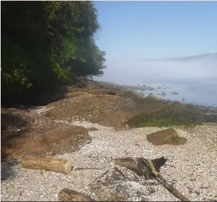 A stroll by the Clyde put us in mind of - PressReader