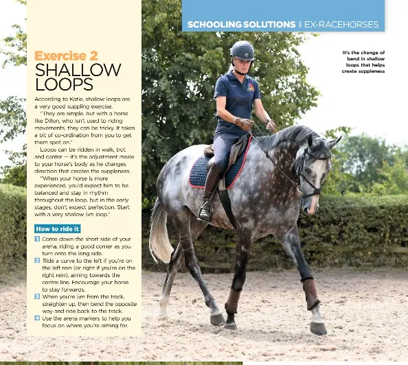 Exercise 2 SHALLOW LOOPS - PressReader