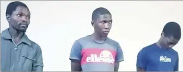 RFM talks over outsourcin­g collapse - PressReader