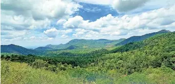 Plea to declare Kesampatti area a biodiversi­ty heritage site - PressReader