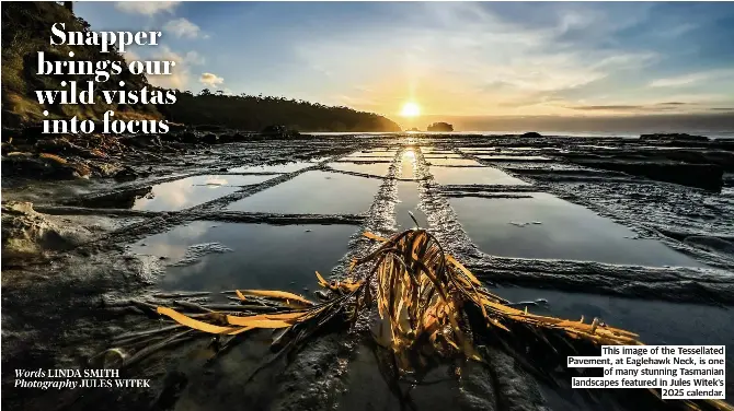 Snapper brings our wild vistas into focus - PressReader