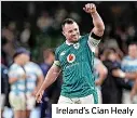 Record man Healy still has role to play, says Porter - PressReader