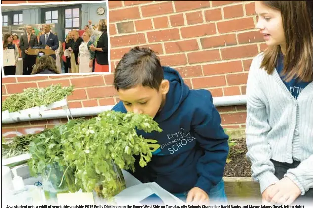 Eric’s veggie challenge - PressReader