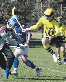 Glenurquar­t Bute Kyles Athletic Skye Camanachd - PressReader