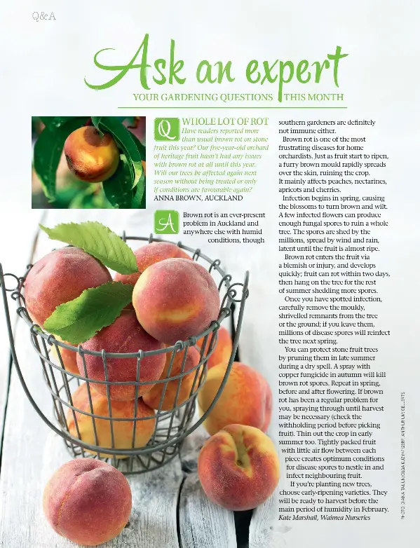 Ask our experts - PressReader