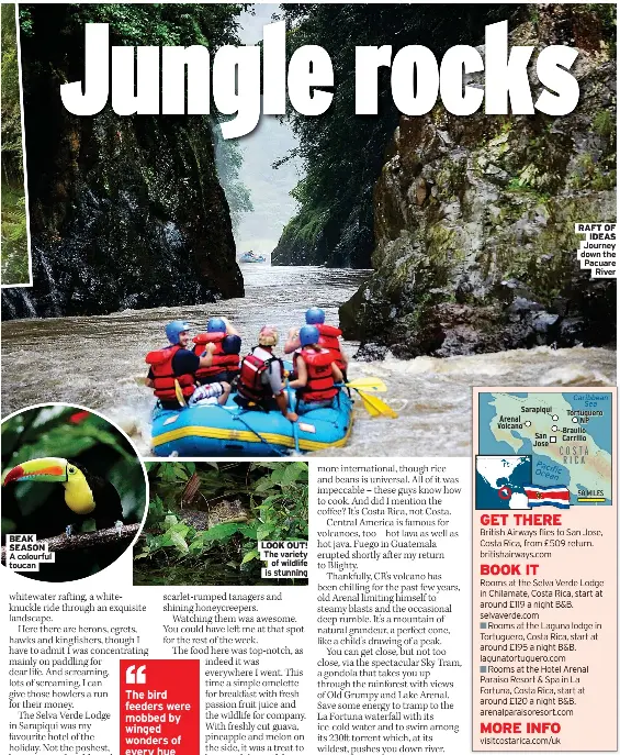 Jungle rocks - PressReader