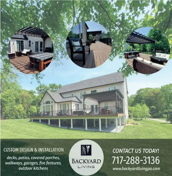 Salisbury passes lynching apology - PressReader