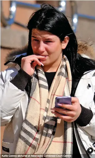 Dog poses such a risk, it must be destroyed - PressReader