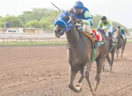 Tread carefully in Monday’s ninth race - PressReader