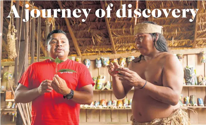 A journey of discovery - PressReader