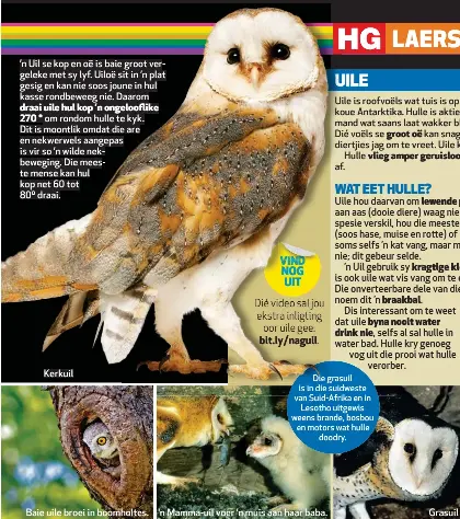 Interessan­te feite oor voëls - PressReader