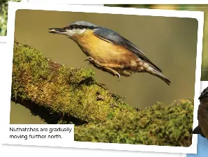 Polly Pullar spots wonderful winter wildlife - PressReader