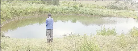 Kidnap allegation­s in Mnisi clan dispute, cops roped in - PressReader