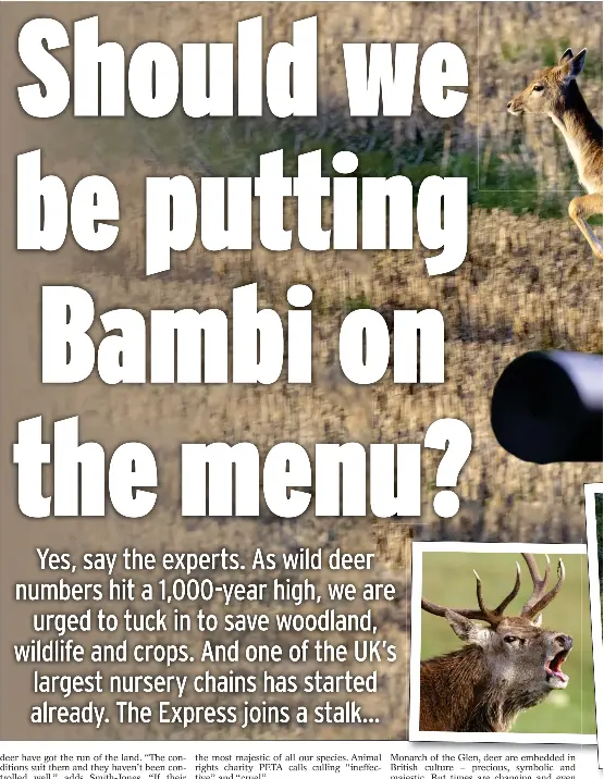 Should we be putting Bambi on the menu? - PressReader