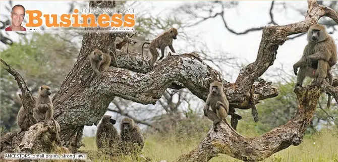 GOING TOO FAR - PressReader