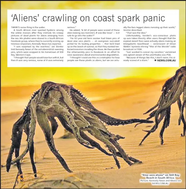 ‘Aliens’ crawling on coast spark panic - PressReader