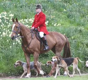 Rick Down The Quantock Staghounds huntsman on 28 years’ service ...