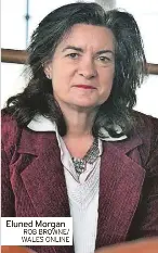 Morgan throws hat in the ring for Welsh post - PressReader