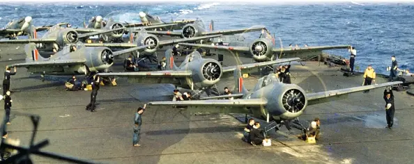 THE WILDER WILDCAT BY FREDERICK JOHNSEN - PressReader