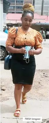 Man accused of bashing girlfriend - PressReader