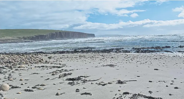 Dog-friendly adventures on the high seas to a pooch paradise on Orkney ...