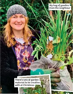 Garden delights are not just for Christmas! - PressReader